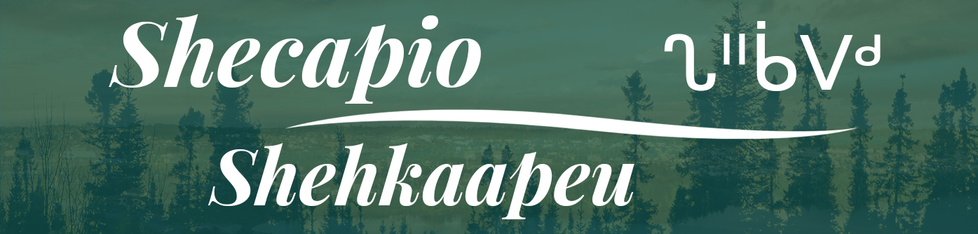 History of Family Names — Cree Nation of Mistissini